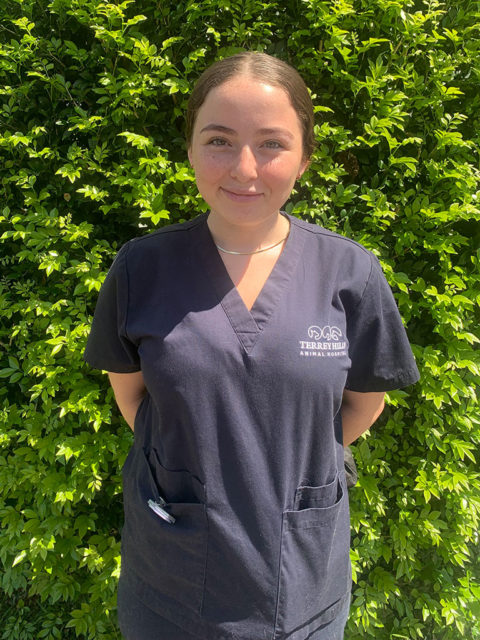 Meet Our Team - Terrey Hills Animal Hospital